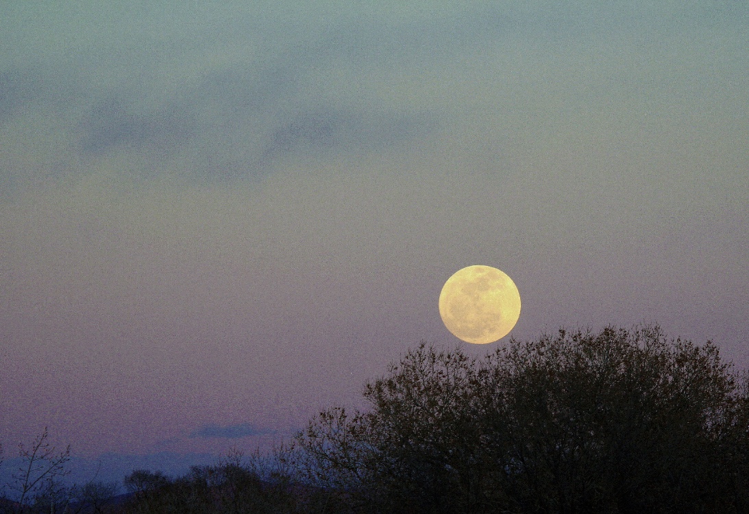 The Old Moon – Northwest Nature and History