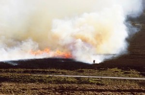 The Controversial Practice of Controlled Burning (v2) – Northwest ...
