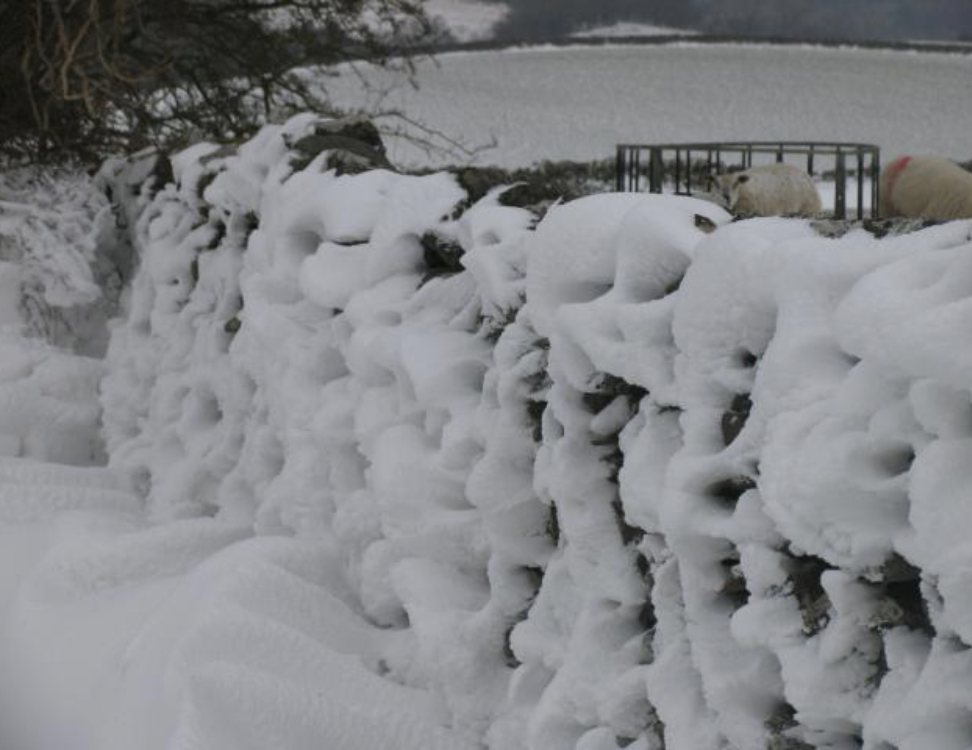 Drystone Walls, a part of the Northern Landscape – Northwest Nature and ...