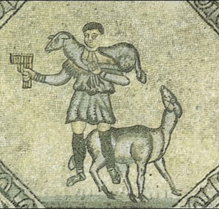 The Role of the Sheep in Shaping Britain’s History and Landscape, Part ...