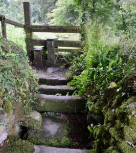 Styles of Stiles – Northwest Nature and History