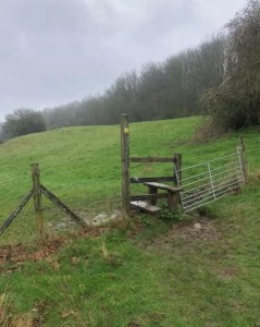 Styles of Stiles – Northwest Nature and History