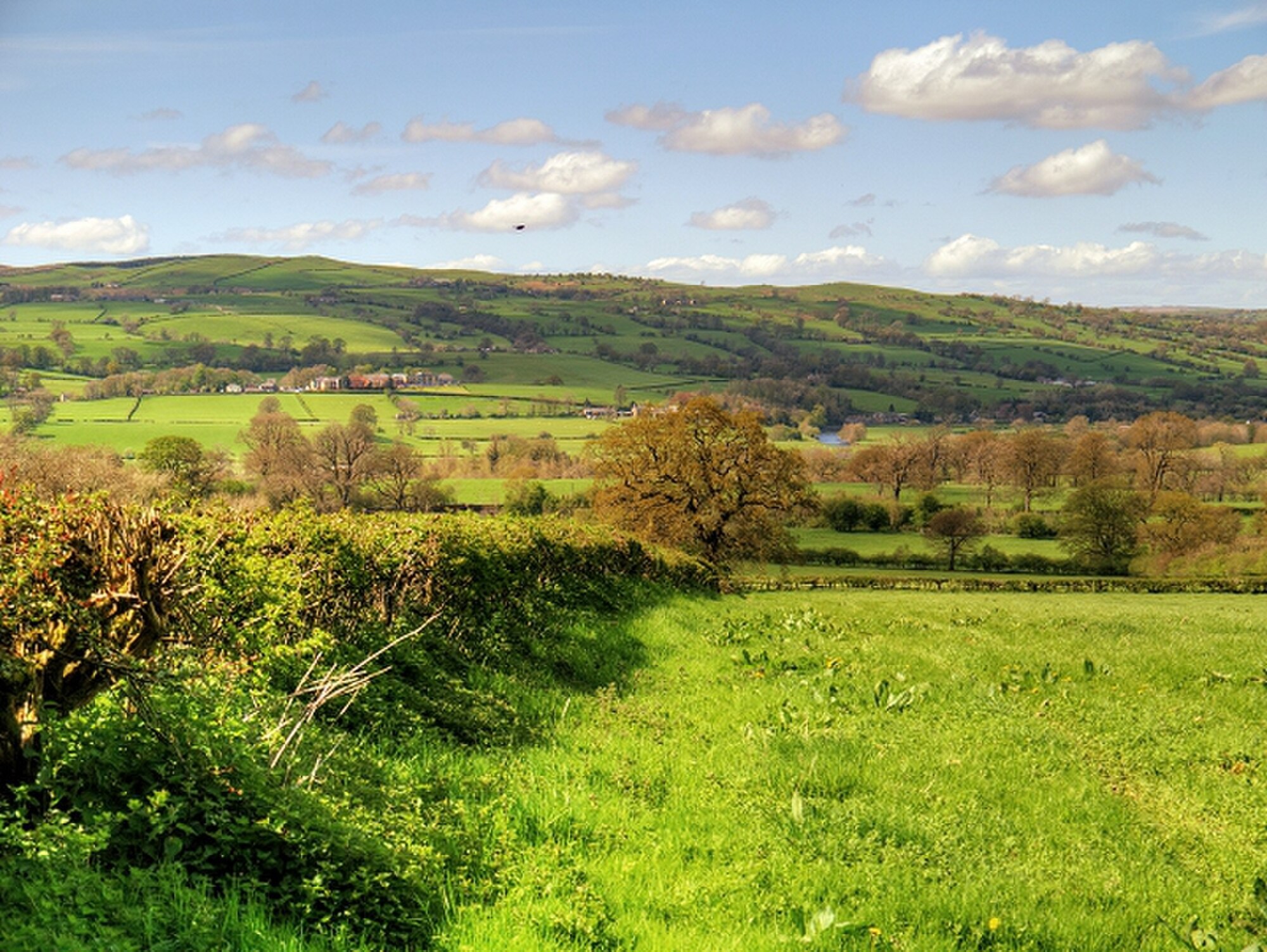 The Ancient Art of Hedgelaying – Northwest Nature and History