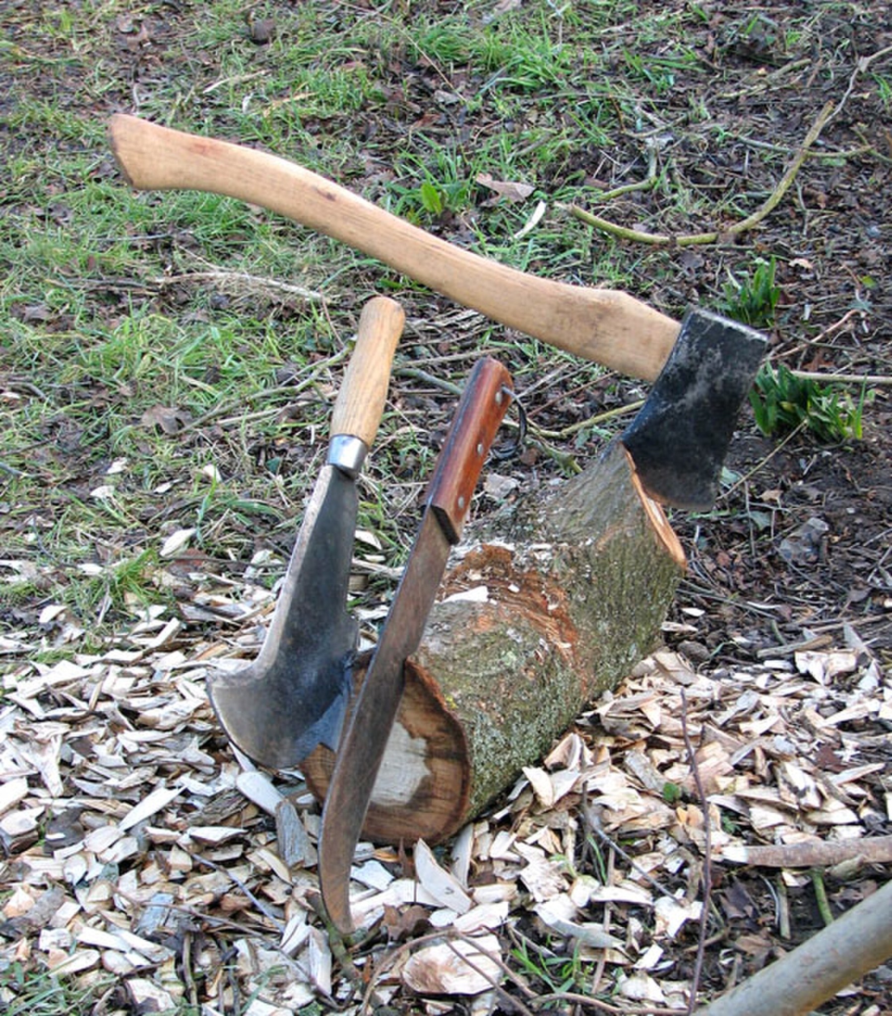 The Ancient Art of Hedgelaying – Northwest Nature and History