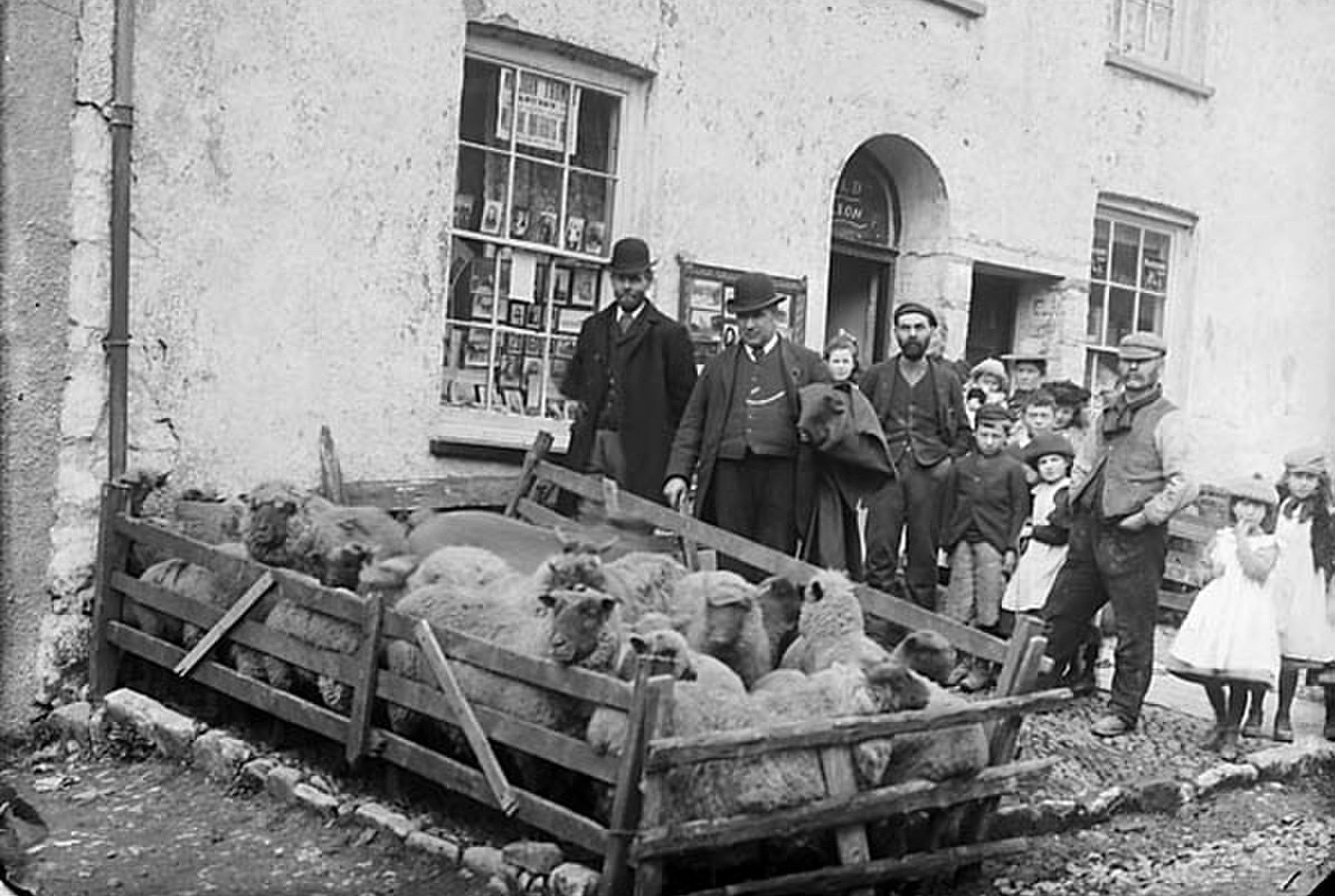 The Sheep and its role in shaping Britain’s Landscape and History, Part ...