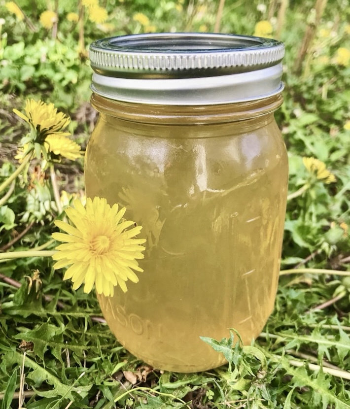Northwest Recipes; Dandelion Syrup – Northwest Nature and History