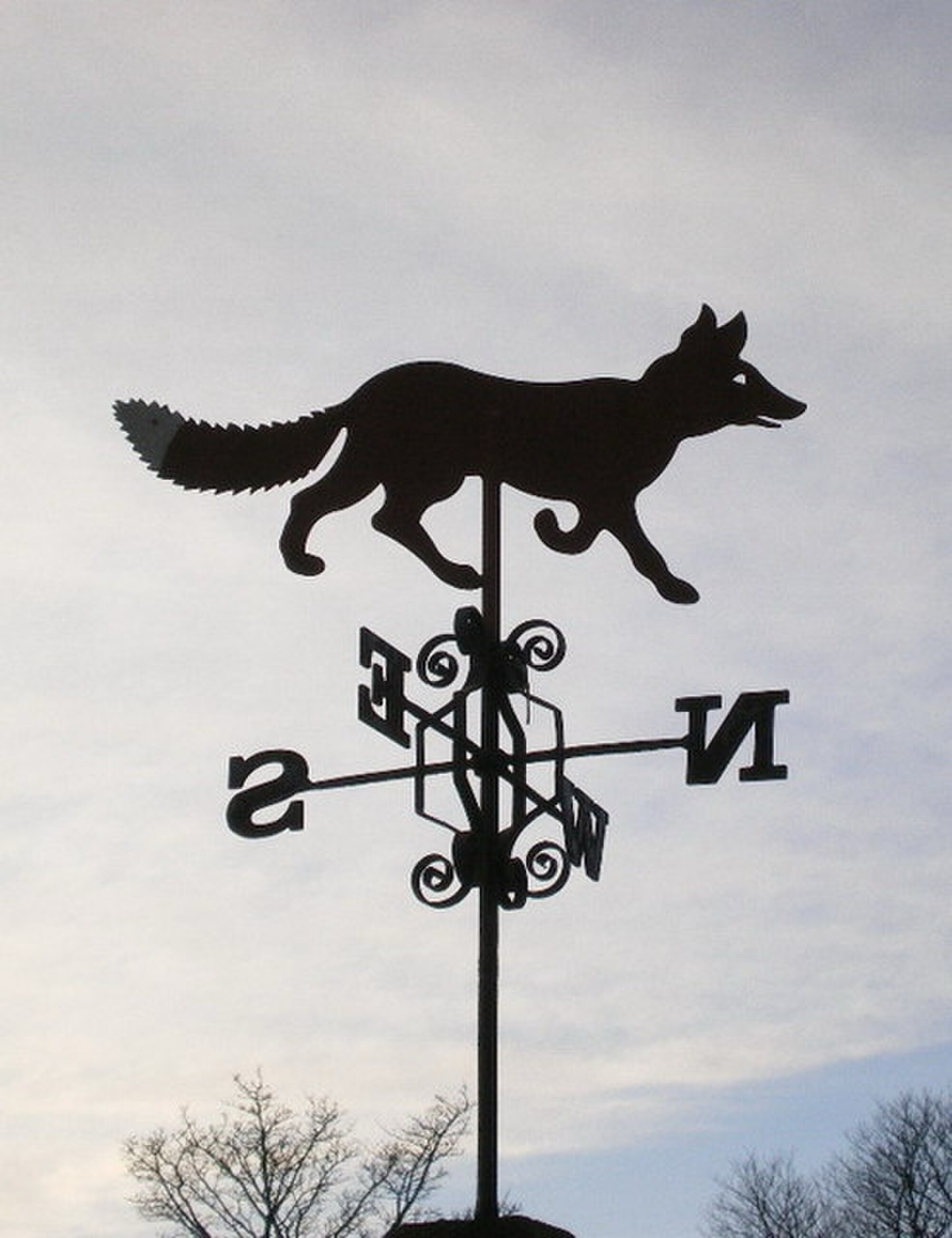 Tosside – Northwest Nature and History