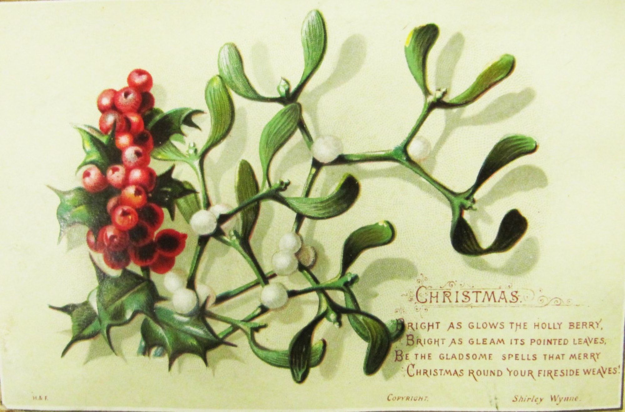 The Symbolism of the Holly – Northwest Nature and History