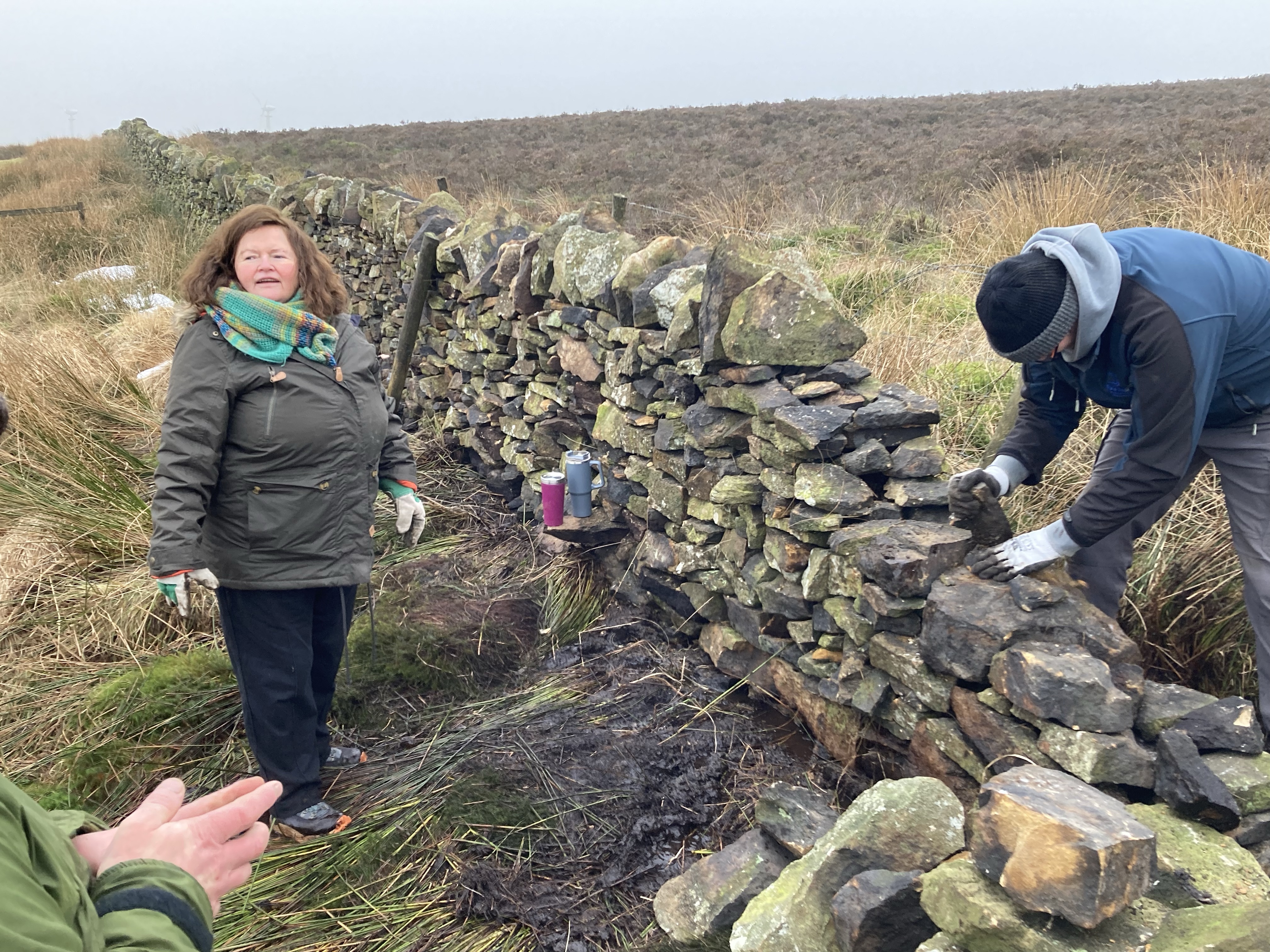 Drystone Walling at Harwes Farm – Northwest Nature and History