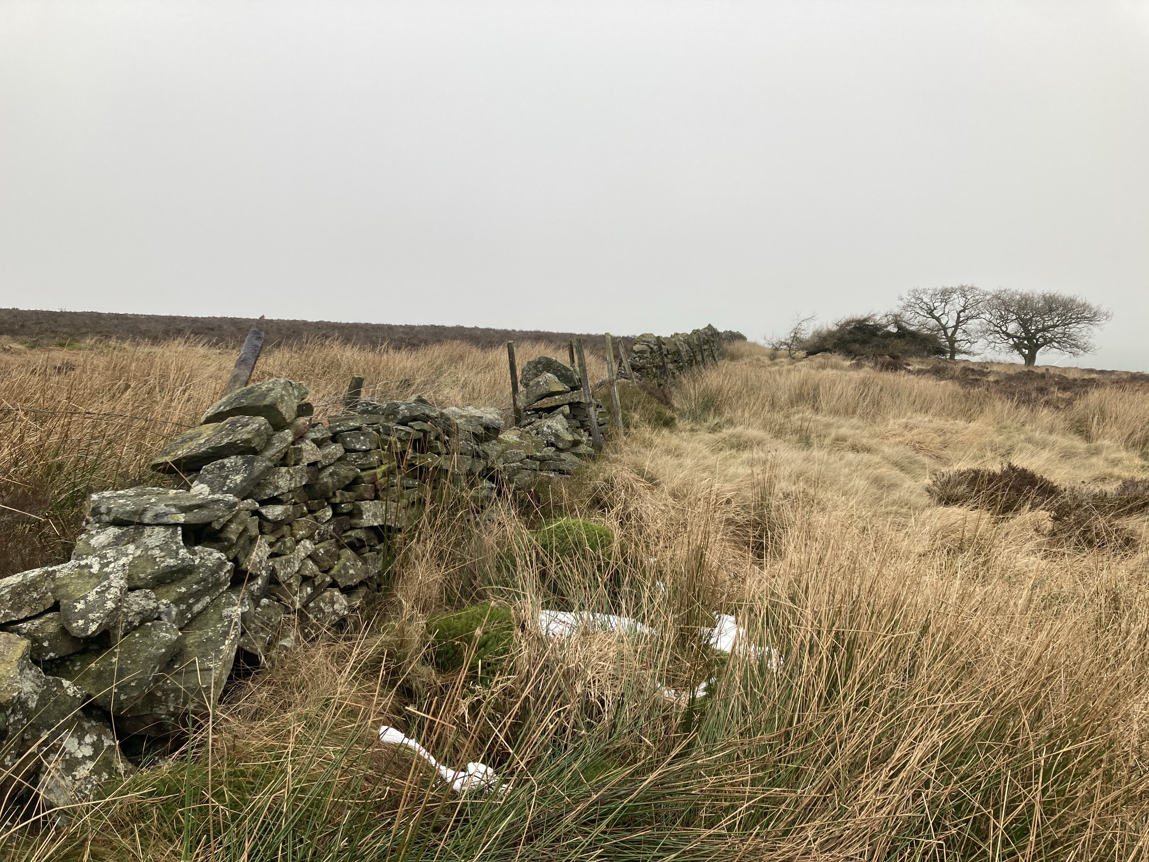 Drystone Walling at Harwes Farm – Northwest Nature and History