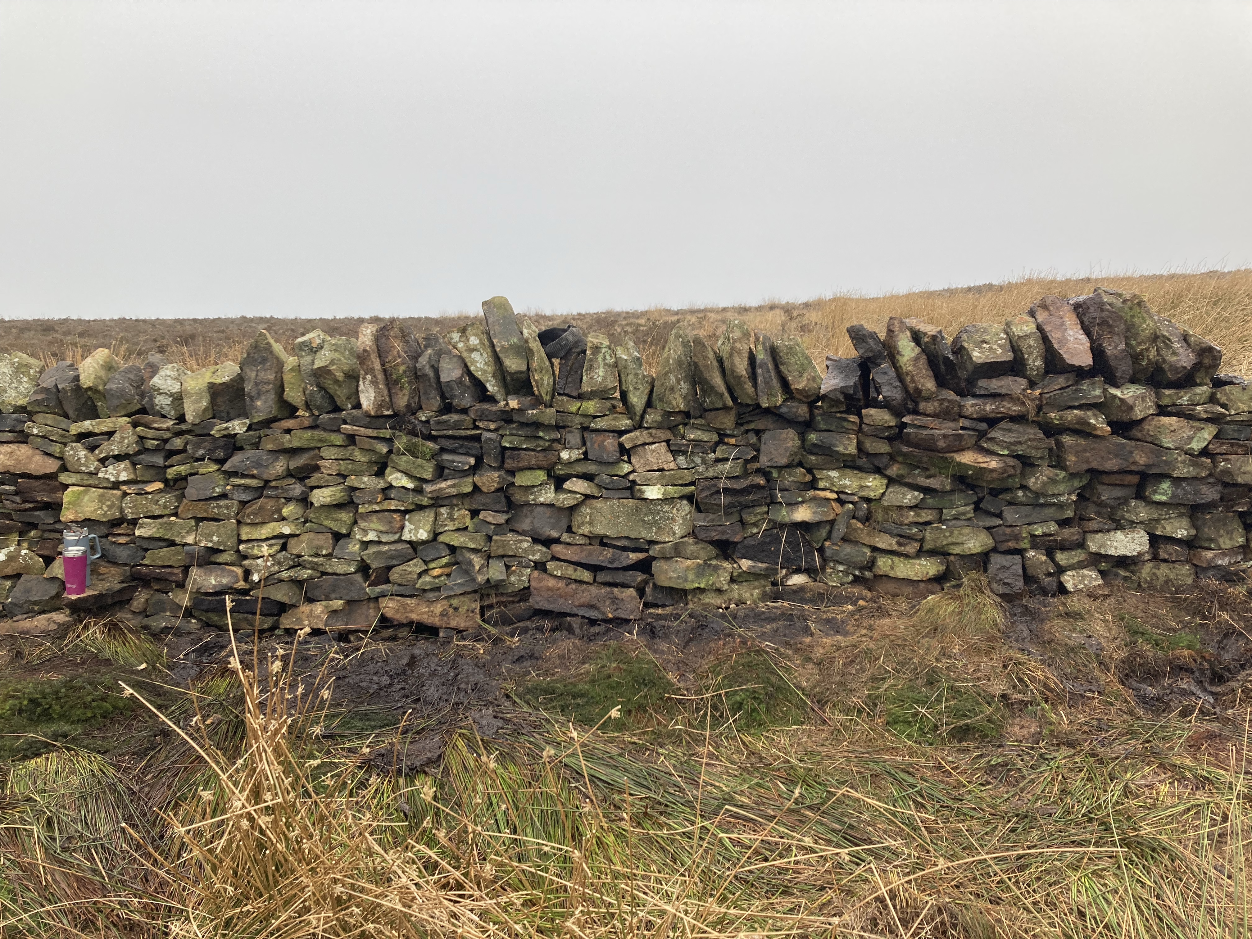 Drystone Walling at Harwes Farm – Northwest Nature and History
