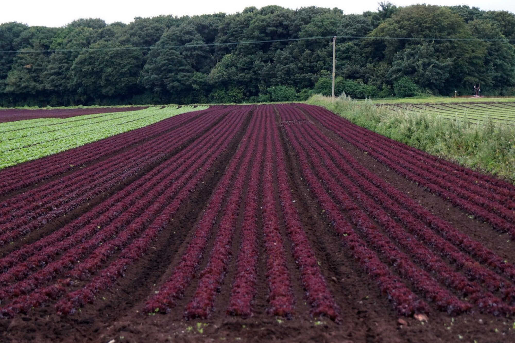 Tarleton Then and Now – Northwest Nature and History