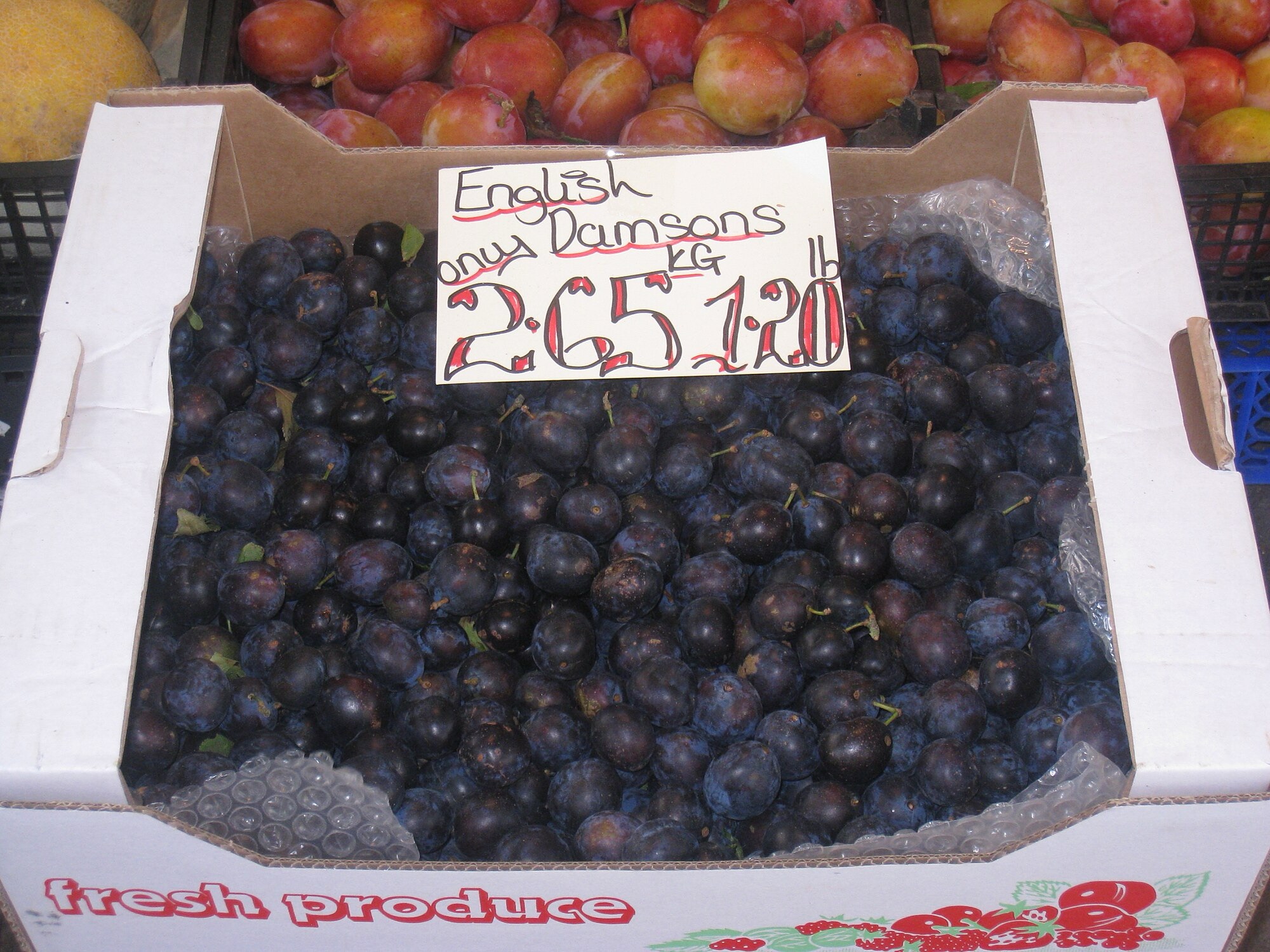 Damson Days – Northwest Nature and History