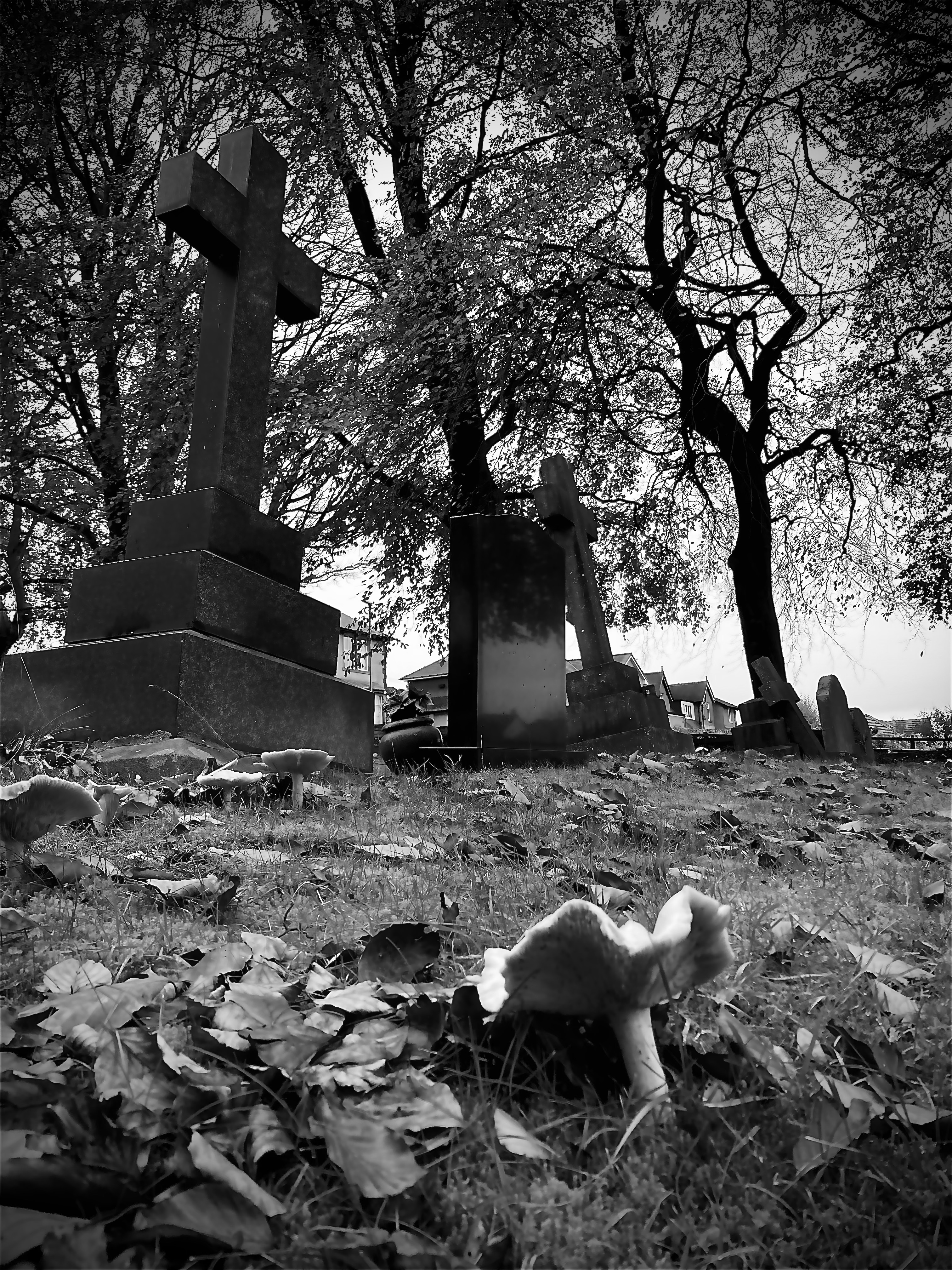Tommy Stroo’s Ghost by John Charles Twist – Northwest Nature and History